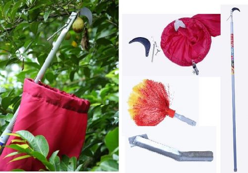 EC Thotty 18ft & 24ft | Haritha Agritech