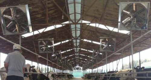 Farm cooling system | Haritha Agritech